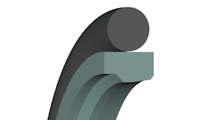 RS seals
